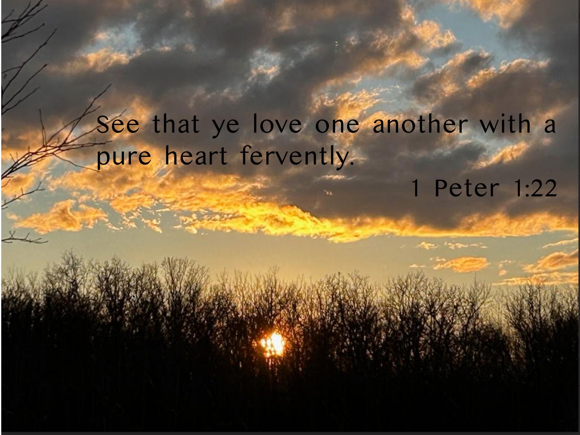 Winnipeg Bible Students – Join us as we study God’s Word.