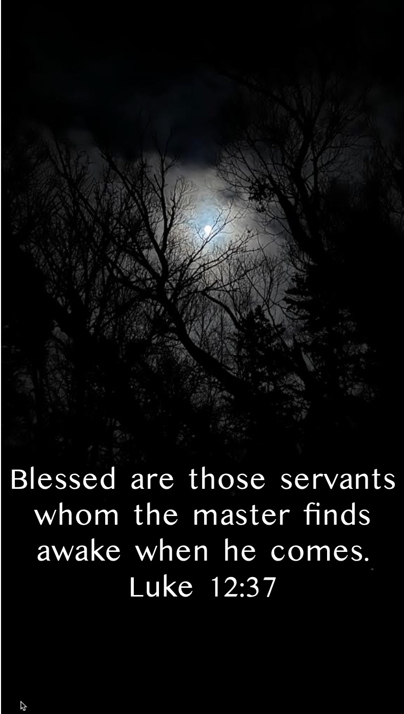 Winnipeg Bible Students – Join us as we study God’s Word.